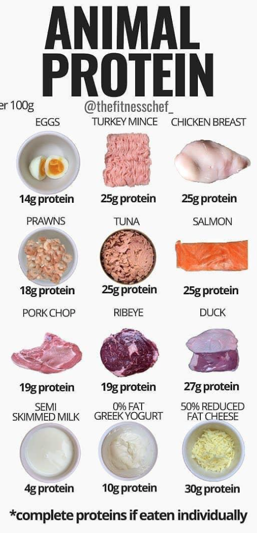 All About Protein and Why We Need More! - Fit2Live